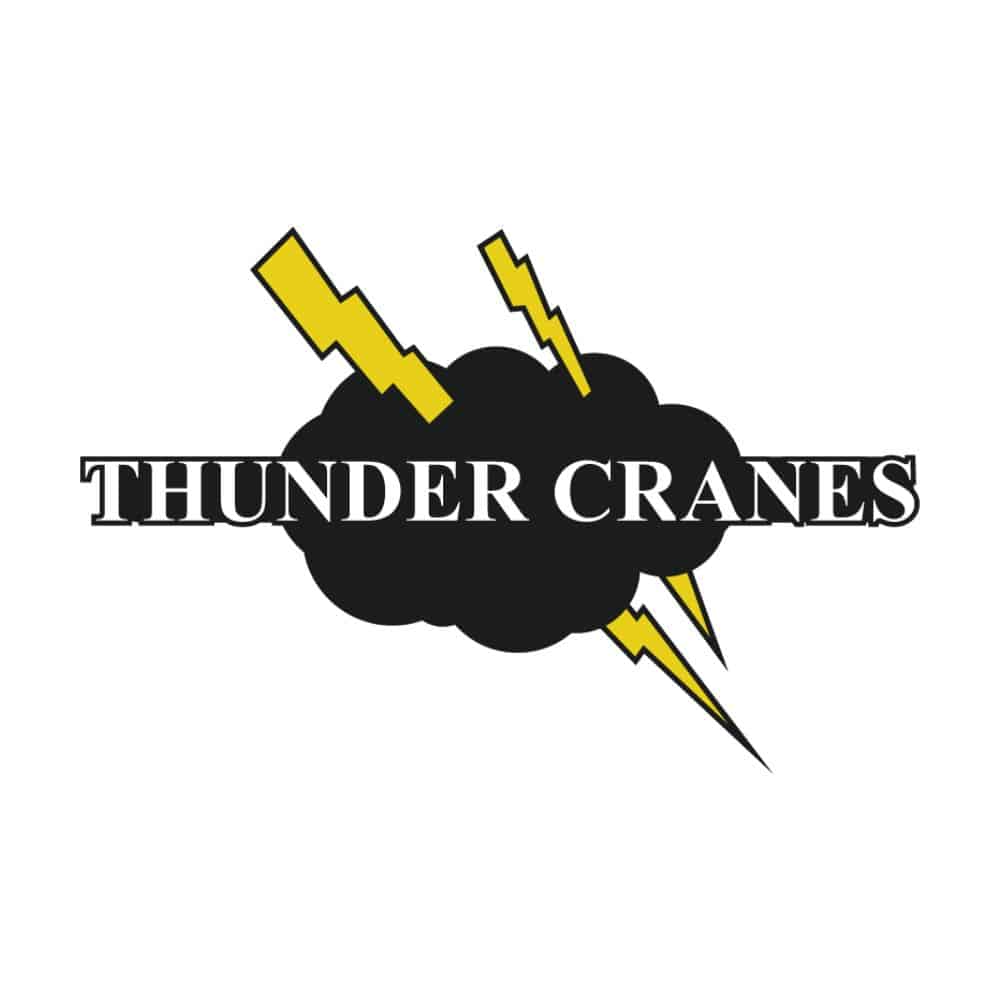 Flare Tip Replacement Solution & Handling Service | Thunder Cranes